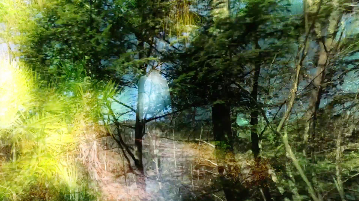 Dee Hood | CONNECT: International Videoarts Festival